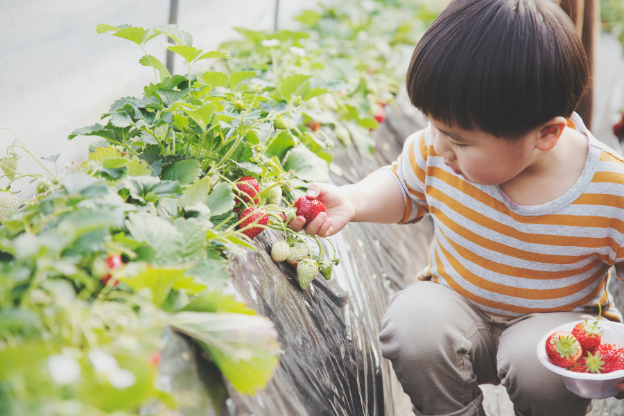 Exploring a Promising Water Pricing Model for Equity and Financial ...